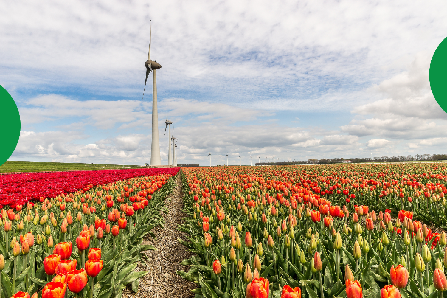 Buy eSIM Netherlands Online Easy, Fast & Smart Internet